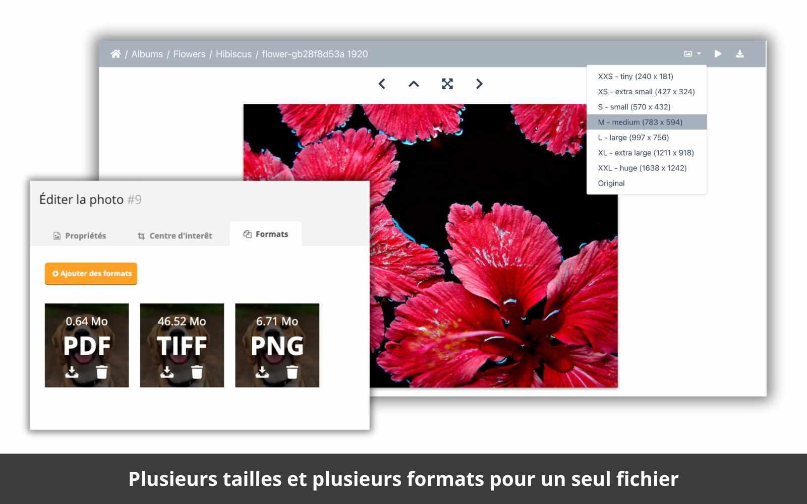 Piwigo : Avis, Prix & Alternatives | Appvizer